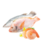 Shop Fresh Seafood / Fish Online Delivery at Best Prices in India ...